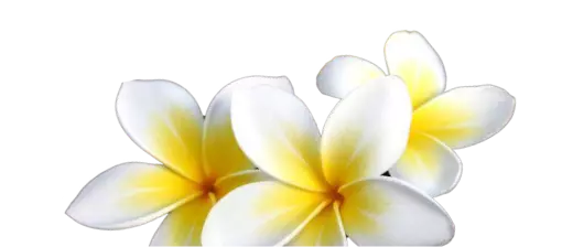 José de la Crúz Mena